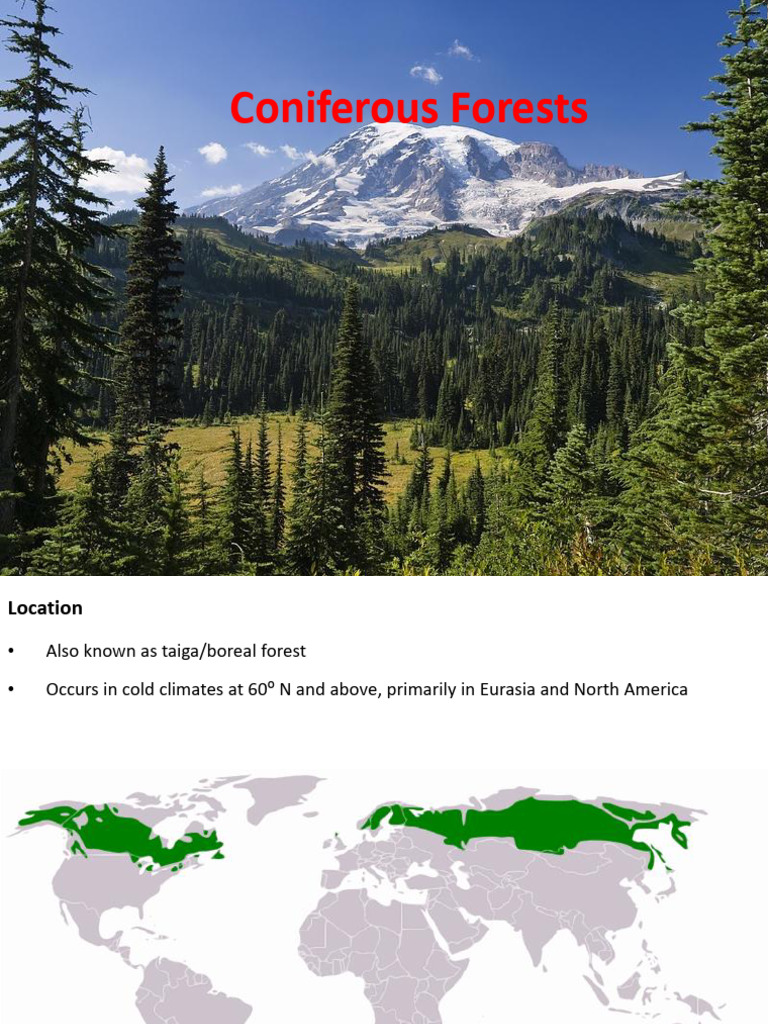 2.6 Coniferous Forests and Tundra | PDF | Landscape | Earth Sciences