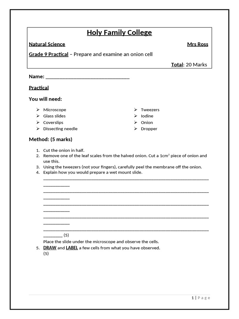 Onion Practical | PDF