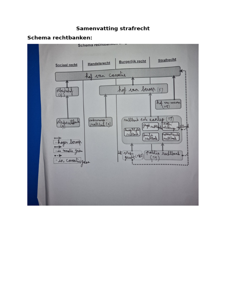 Samenvatting Strafrecht | PDF