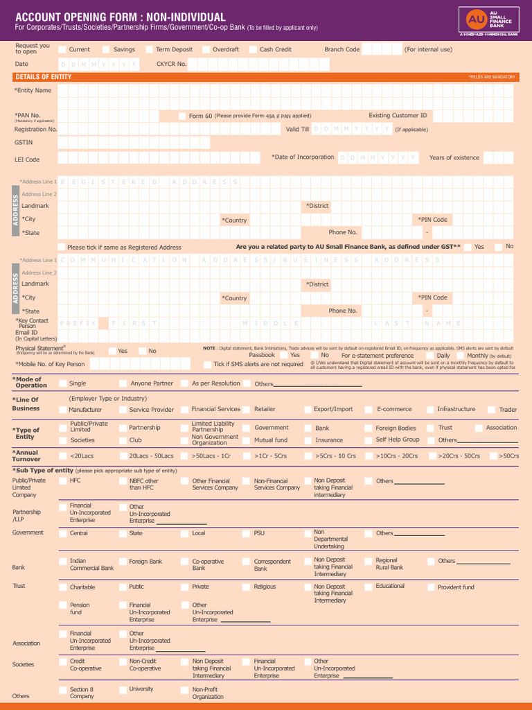 Non-Individual Account Opening Form | PDF | Identity Document