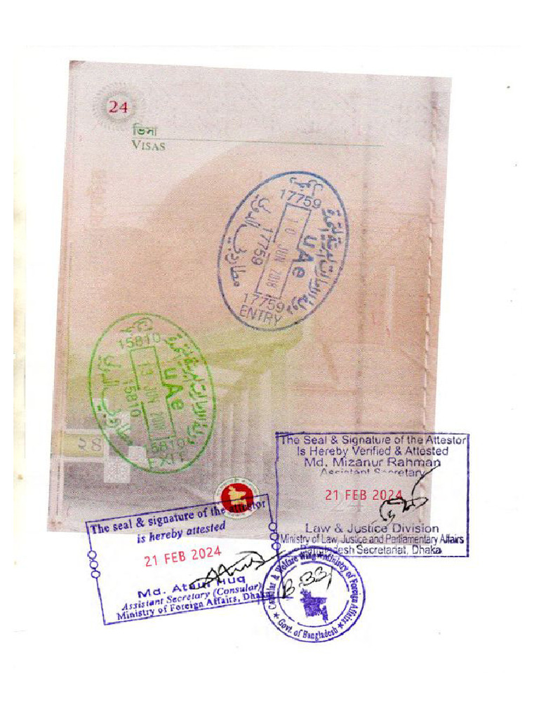 Visa | PDF
