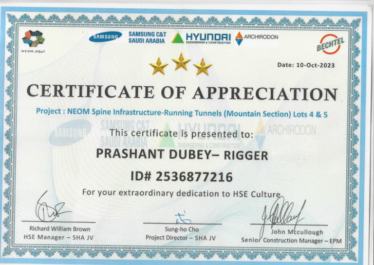 Neeraj Dubey PDF | PDF