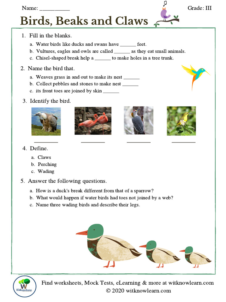 Birds Break and Claws 3 | PDF