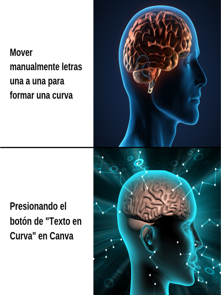 Meme | PDF