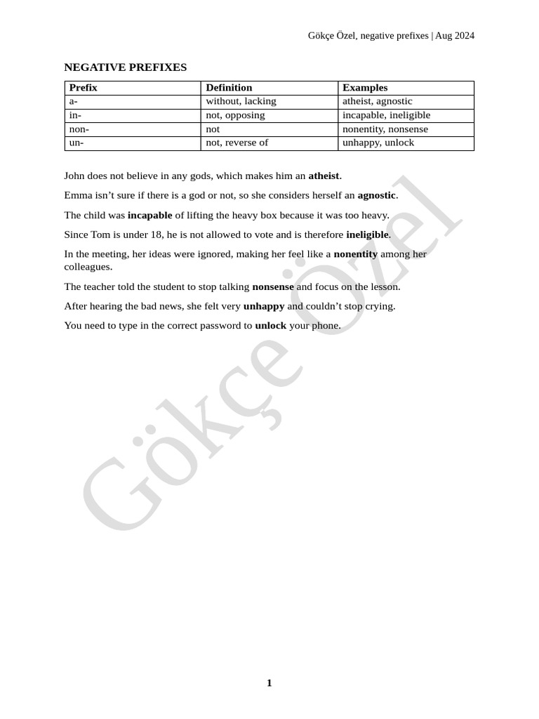 Understanding Negative Prefixes | PDF