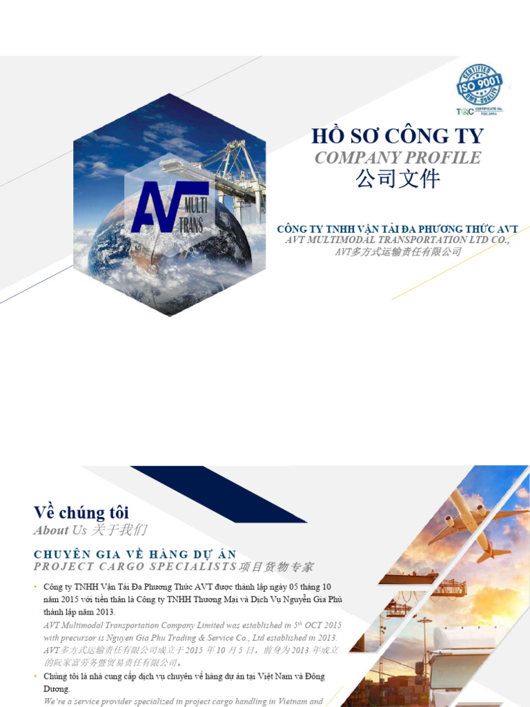 AVT Profile 2024 - Updated | PDF