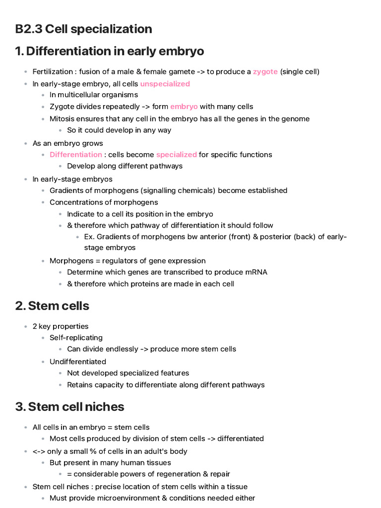 B2.3 Cell Specialization | PDF | Cellular Differentiation | Skeletal Muscle