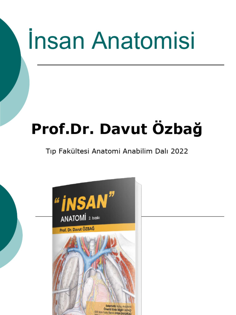 İnsan Anatomisi Giriş, Genel Bilgiler | PDF