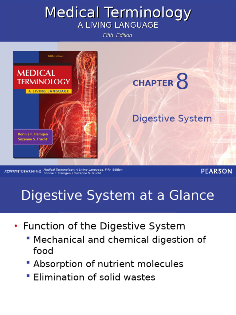 Medical Term Digestive System | PDF | Gastrointestinal Tract | Human ...