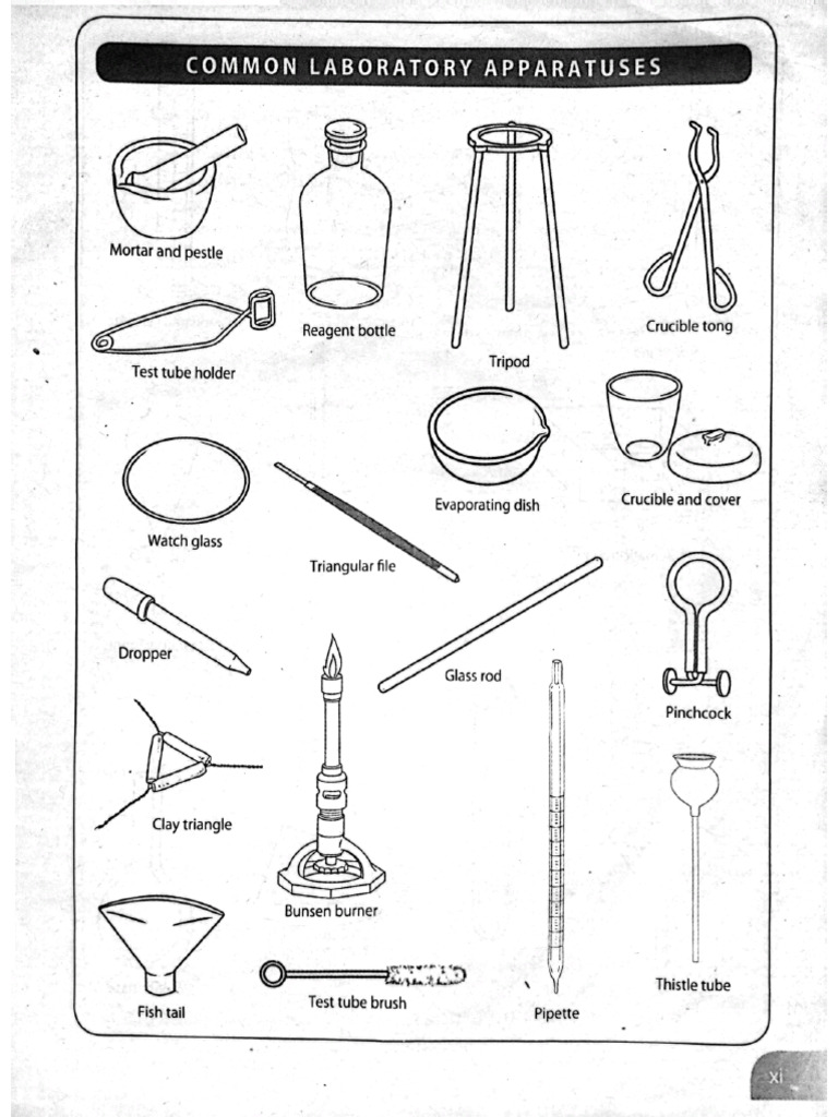 Gen Chem Lab Manual | PDF