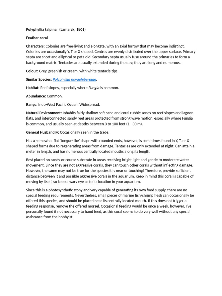 Polyphia talpina | PDF