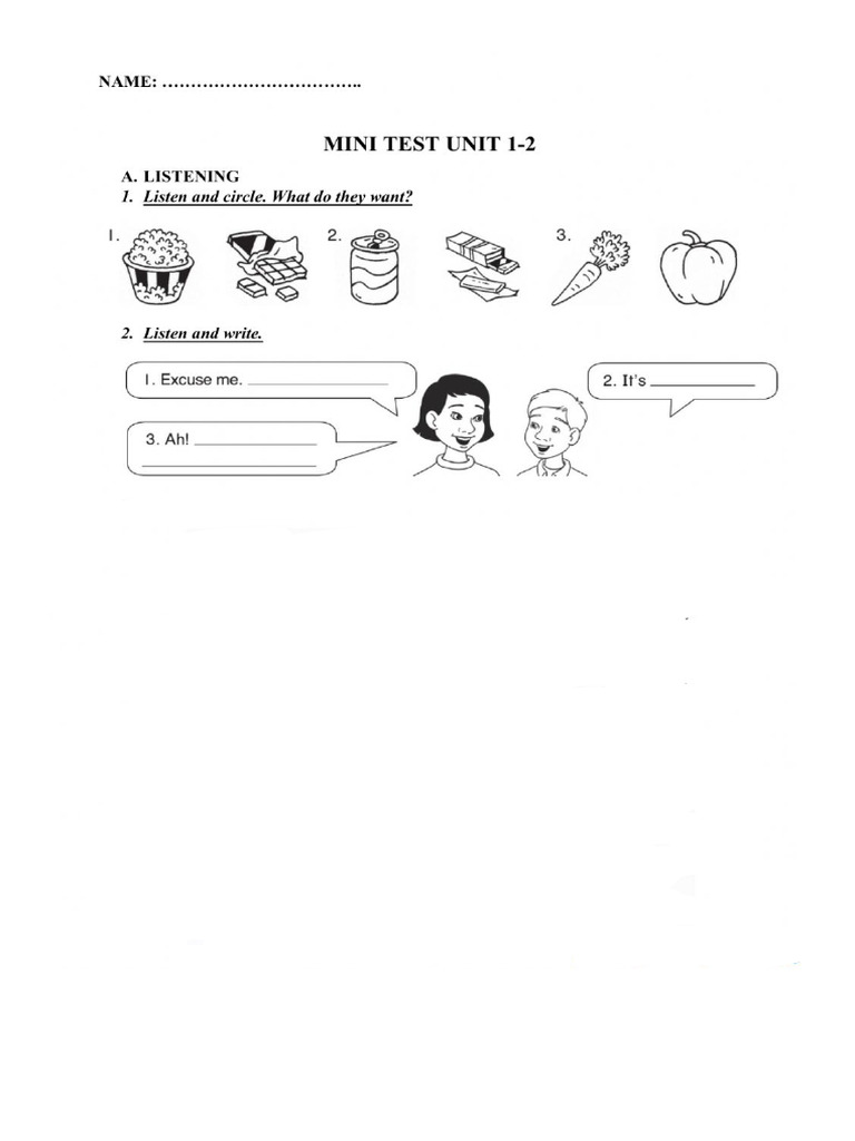 Mini-Test (MV1T) | PDF
