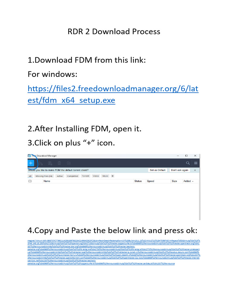 RDR 2 Download Process | PDF