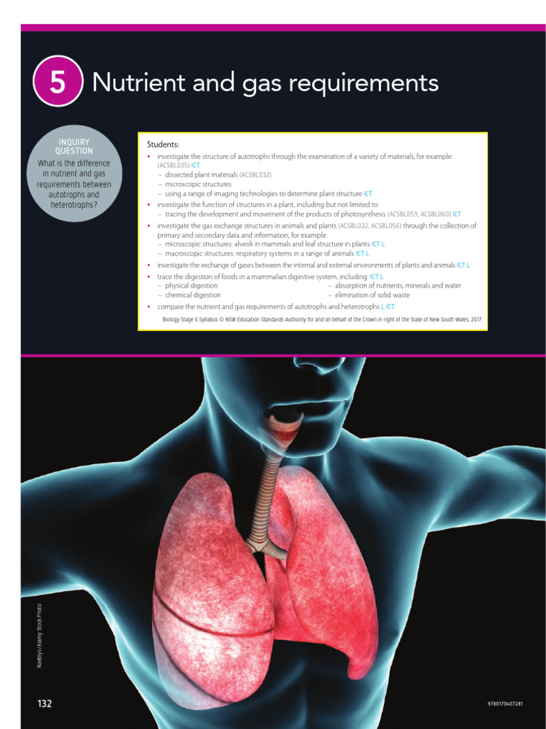 Chapter 5 Bio | PDF | Leaf | Plant Stem