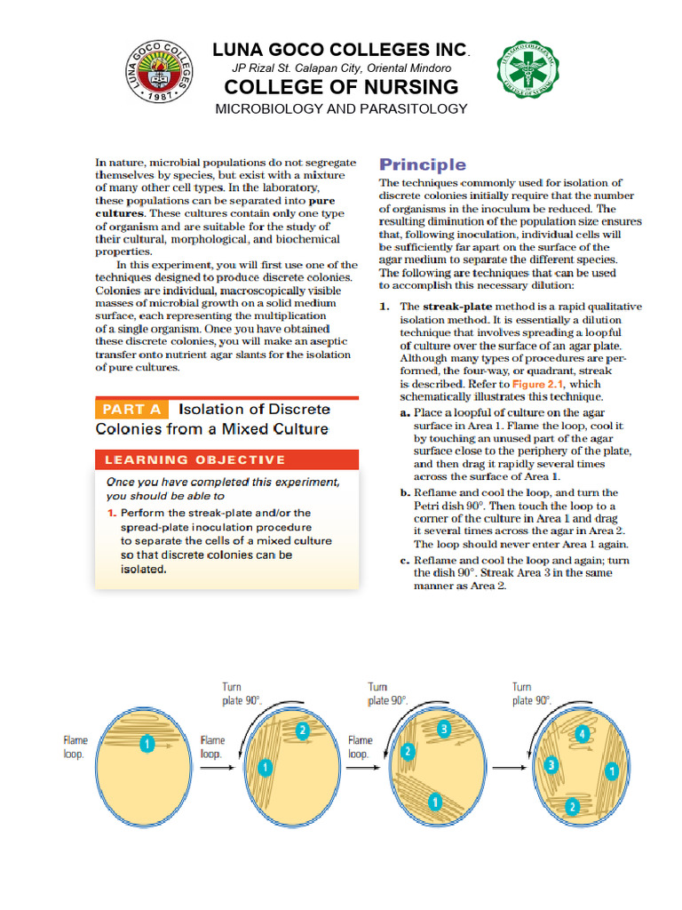 micro-lab-2 | PDF