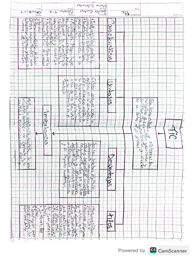 Mapa conceptual TIC | PDF