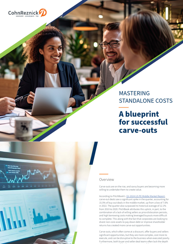 Value360 Carveout Mastering Standalone Costs | PDF | Cost | Benchmarking