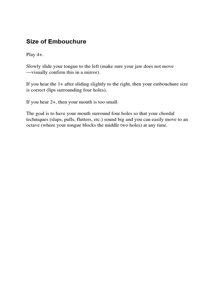 Size of Embouchure | PDF