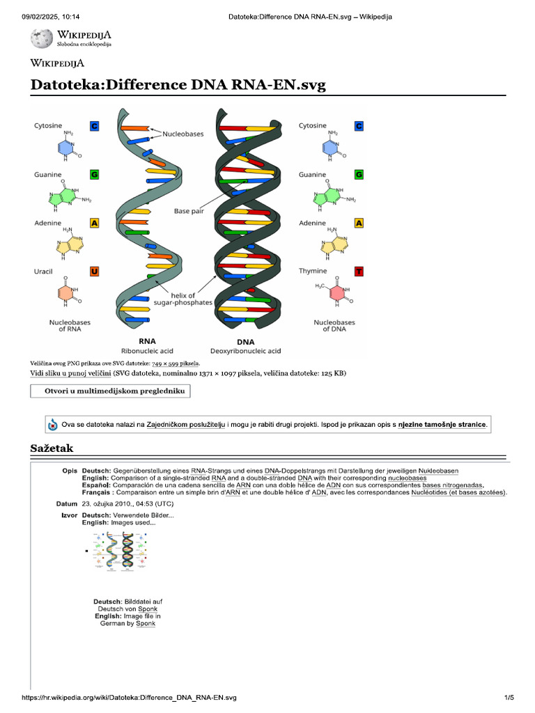 dna | PDF