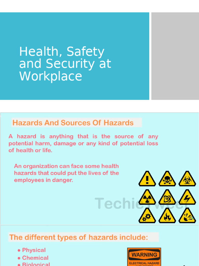 Workplace Health and Safety Hazards | PDF
