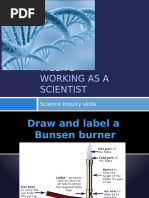 Bunsen Burner Lab Technique Guide | PDF | Combustion | Valve