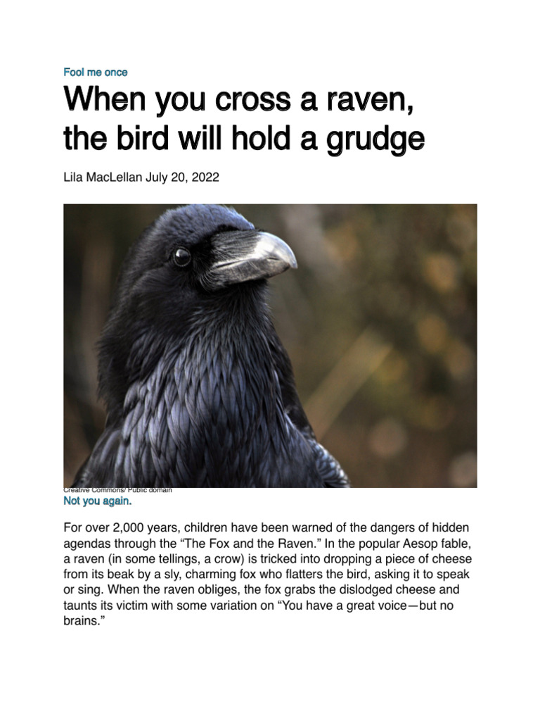 When You Cross a Raven | PDF | Cognitive Psychology | Psychology
