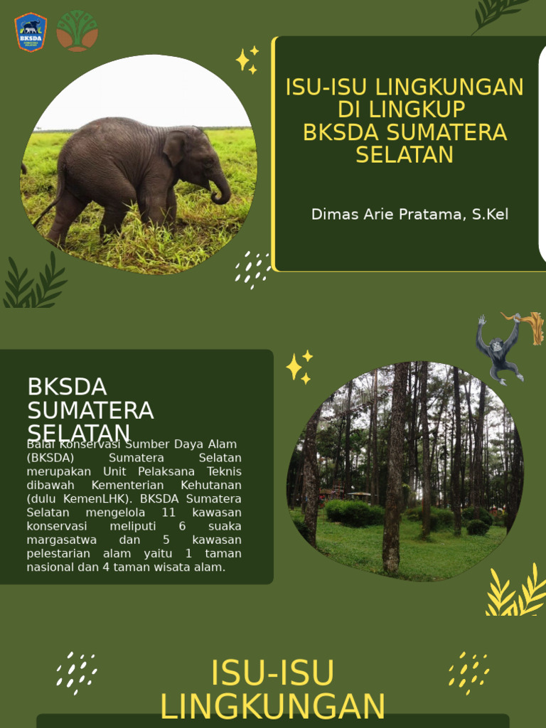 Isu Lingkungan di BKSDA Sumsel | PDF