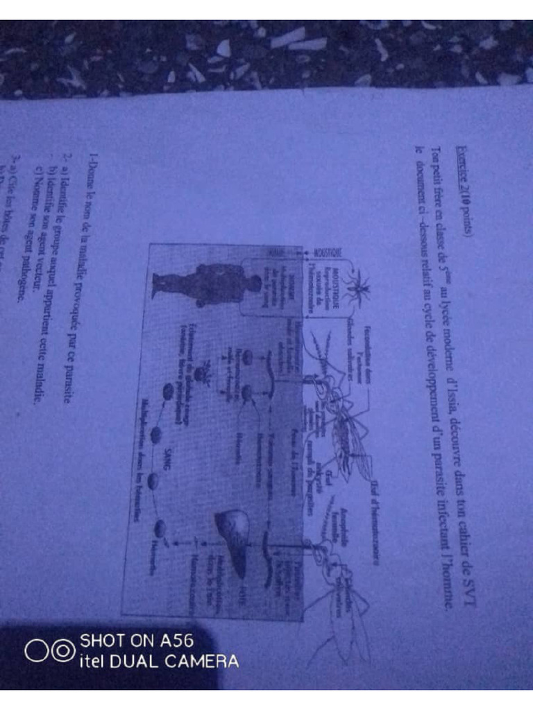 Unit 3 Lesson 2 4e Anglais | PDF