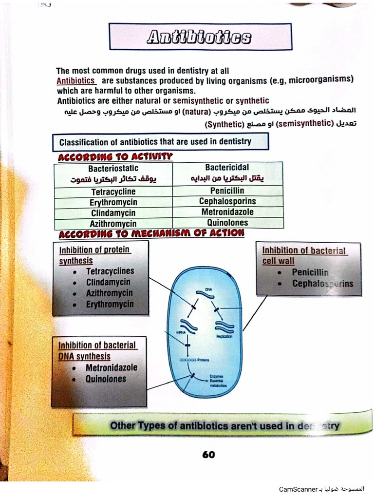 Antibiotics | PDF