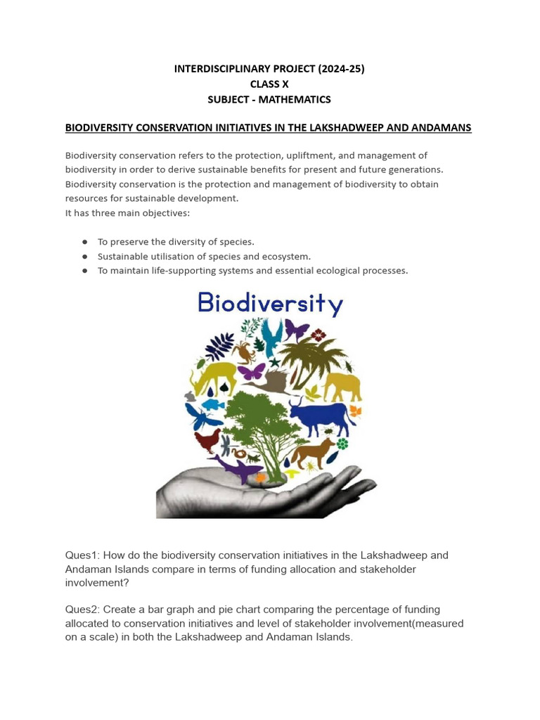 1 INTERDISCIPLINARY PROJECT | PDF
