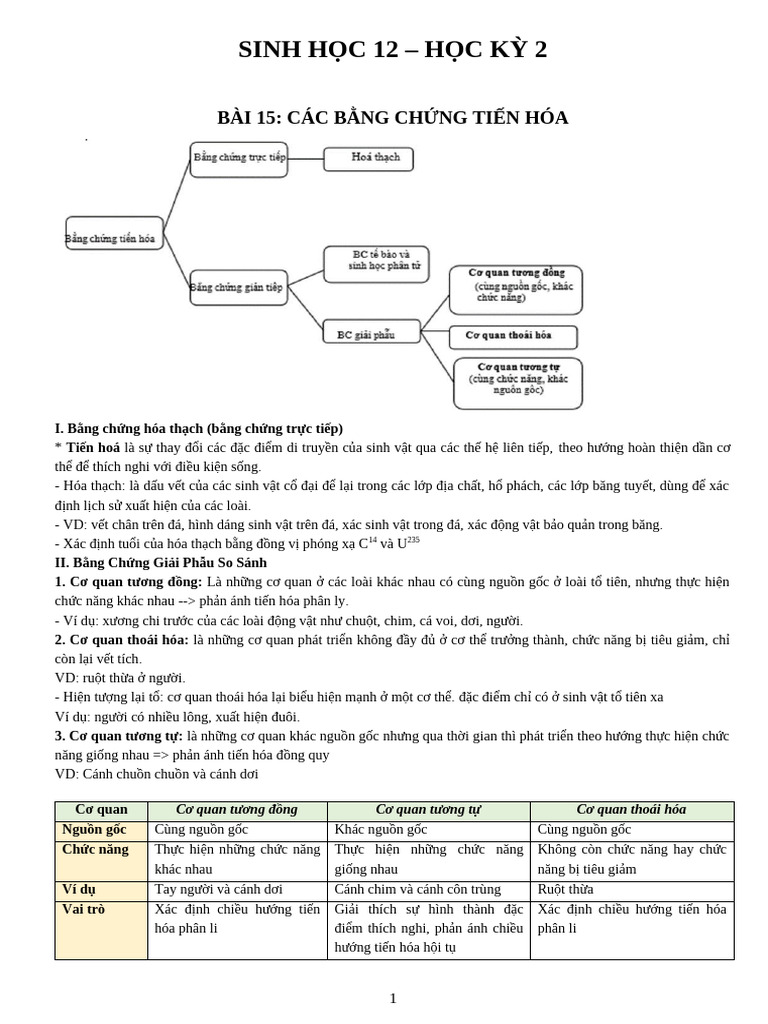 De Cuong Sinh 12 - HS-hk2 - Tien Hoa | PDF
