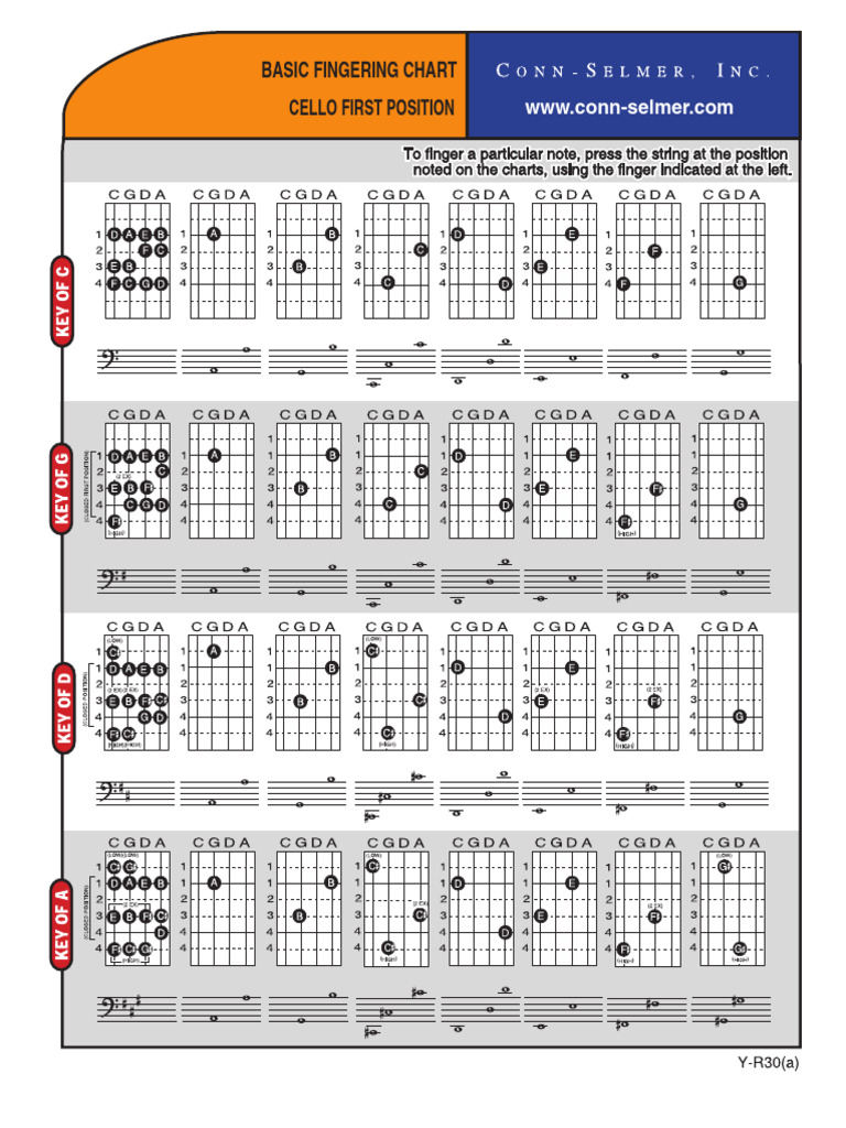 Main Cello First Position Basic Fingering Chart | PDF