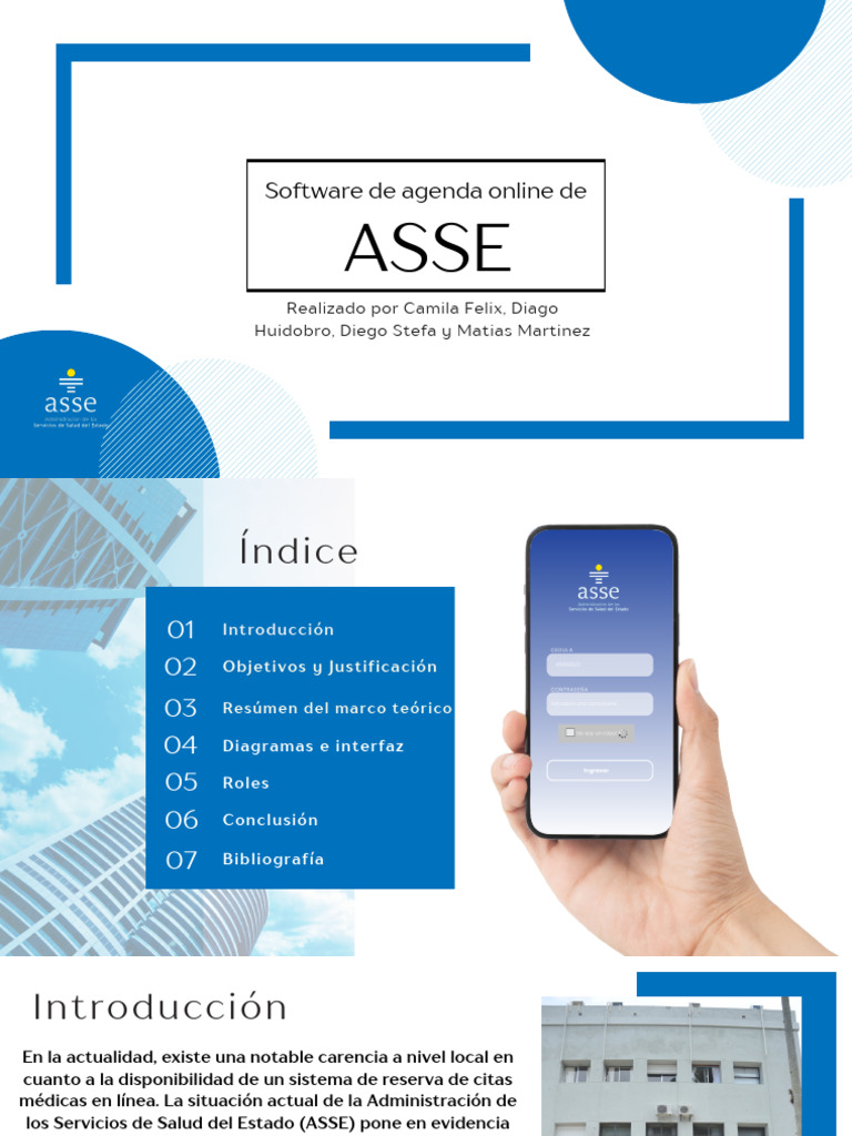 Software de Agenda Online ASSE PDF | PDF | Informática