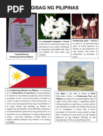 Simbolo at Sagisag NG Lalawigan NG Rizal | PDF