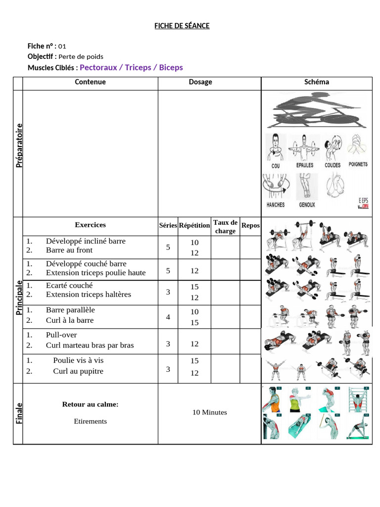 Programme de Séance et Nutrition Perte de Poids | PDF | Exercice ...