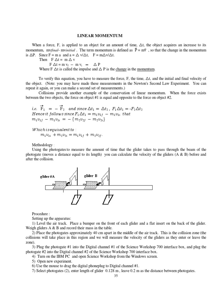 Momentum Lab | PDF | Momentum | Collision