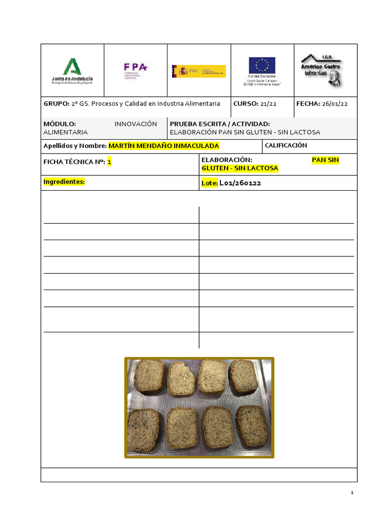 FICHA ELABORACIÓN_PAN SIN GLUTEN | PDF | Panes