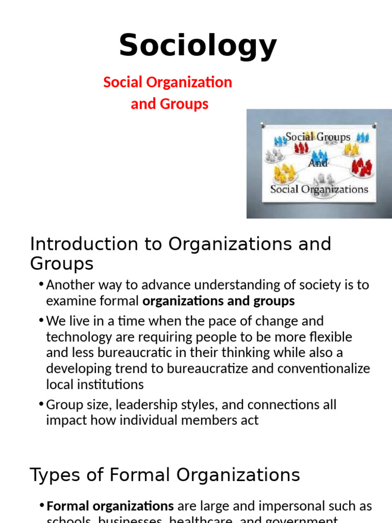 Understanding Social Organizations and Groups | PDF | Leadership ...