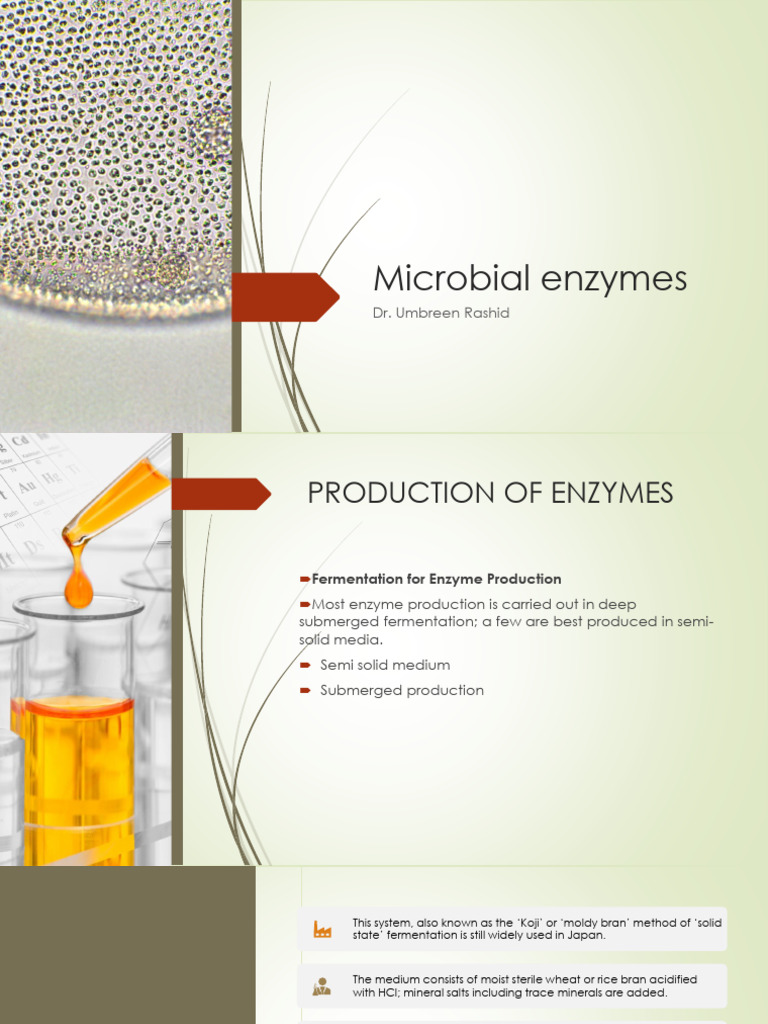 Microbial Enzyme Production Techniques | PDF | Enzyme | Glucose