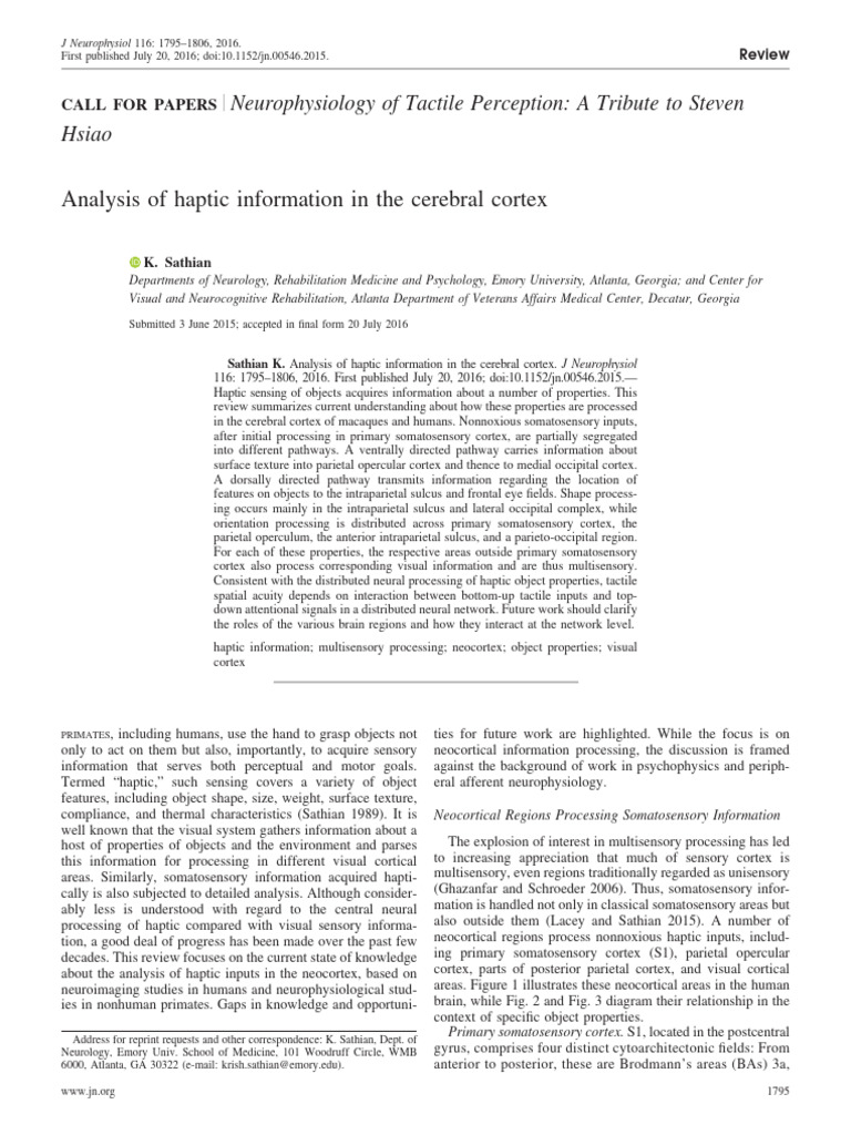 Analysis of Haptic Information in The Cerebral Cortex | PDF | Somatosensory System | Visual Cortex