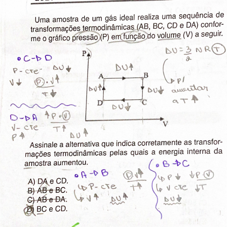 Documento Escaneado 2024-07-11 À(s) 14.24.25 | PDF
