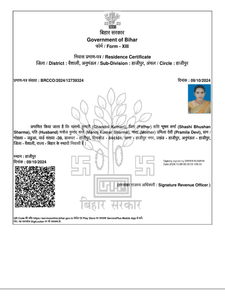 Brcco 2024 12739324 | PDF