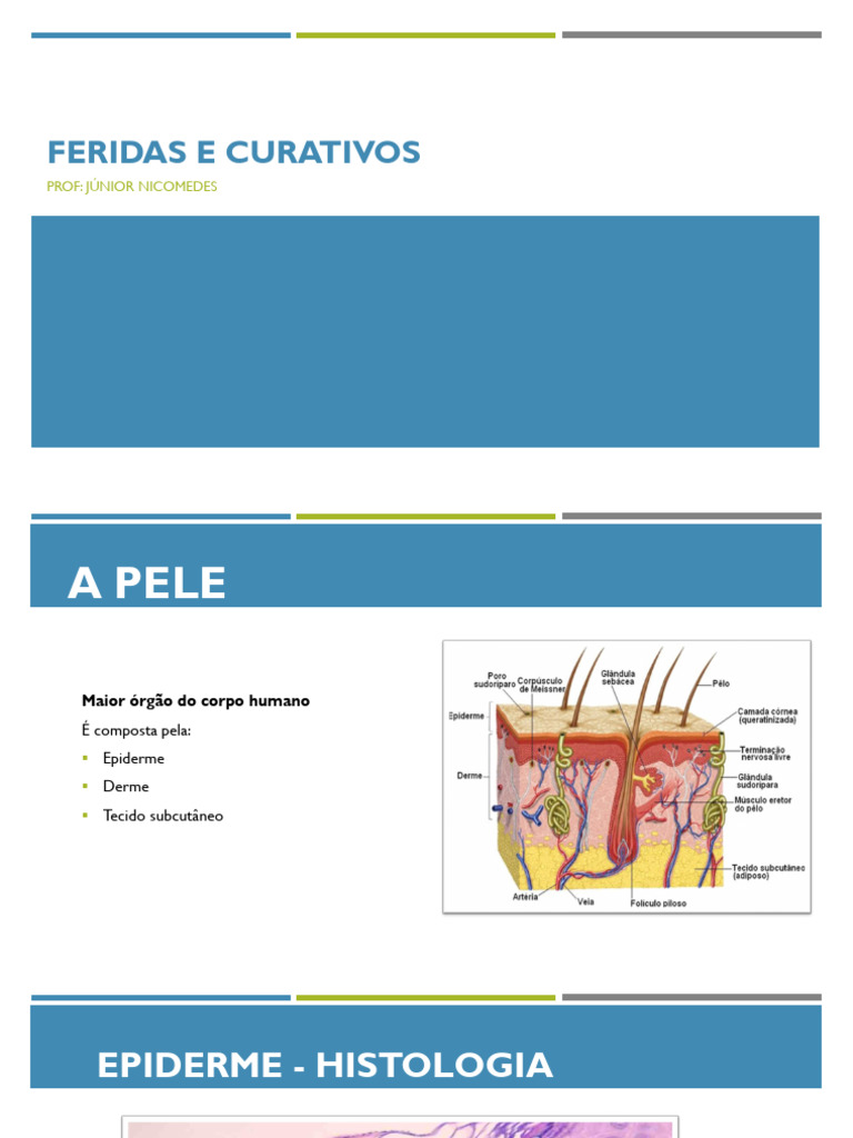 Tratamento de Feridas e Curativos | PDF | Cura | Infecção
