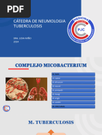 Fisipatologia de La Tuberculosis Pulmonar | PDF | Tuberculosis ...