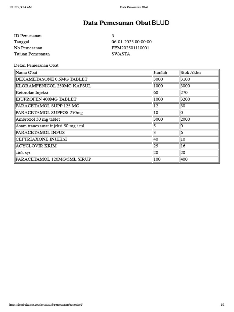 Data Pemesanan BLUD Januari 2025 | PDF