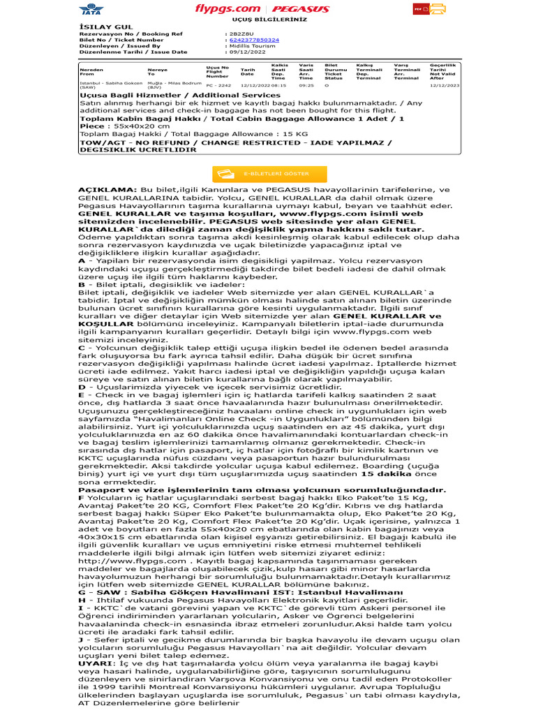 Travel Document 4 | PDF