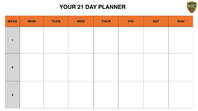 21 Day Planner | PDF