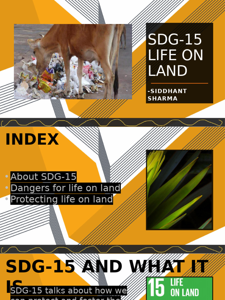 Protecting Life on Land | PDF