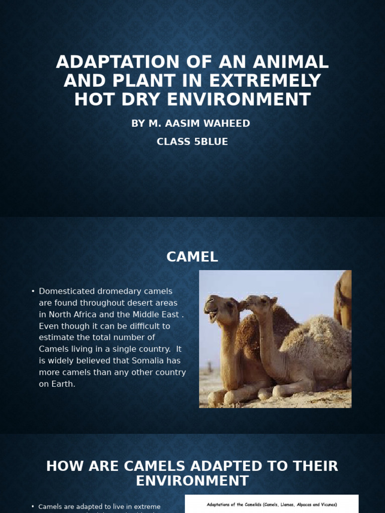 Adaptation of An Animal and Plant in Extremely Asim Waheed | PDF