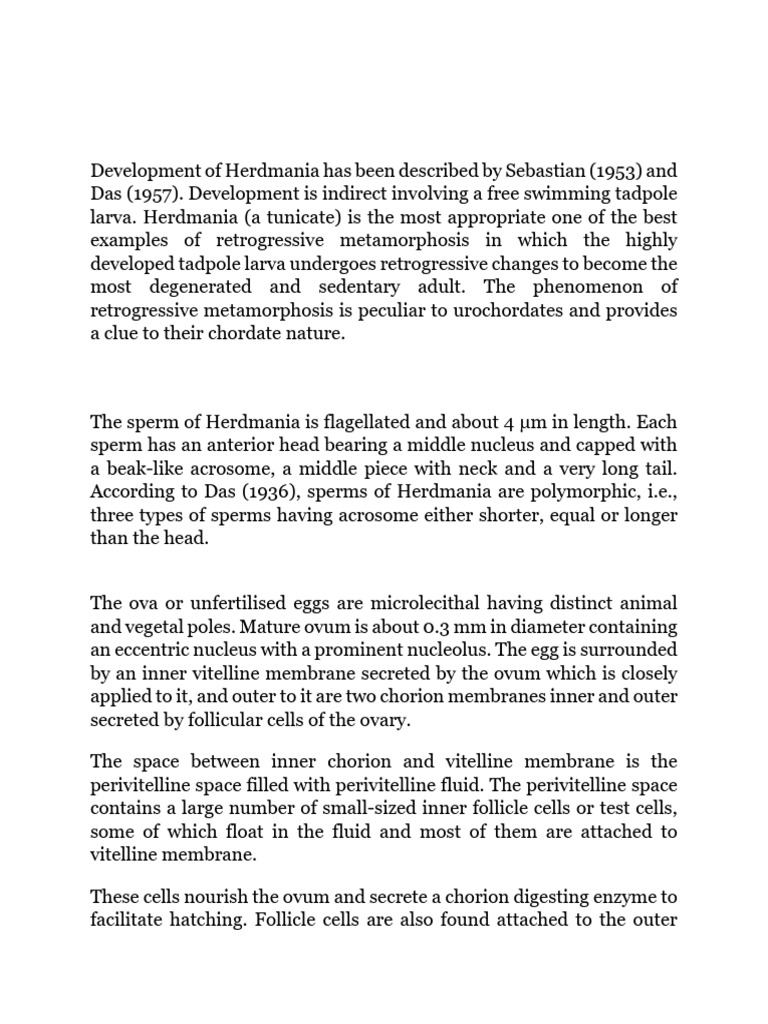 Retrogressive Metamorphosis of Herdmania | PDF | Aorta | Anatomy